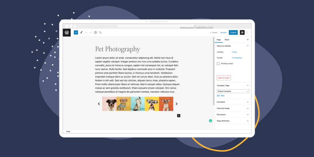 How to Add an Instagram Carousel to WordPress [2026] • Spotlight