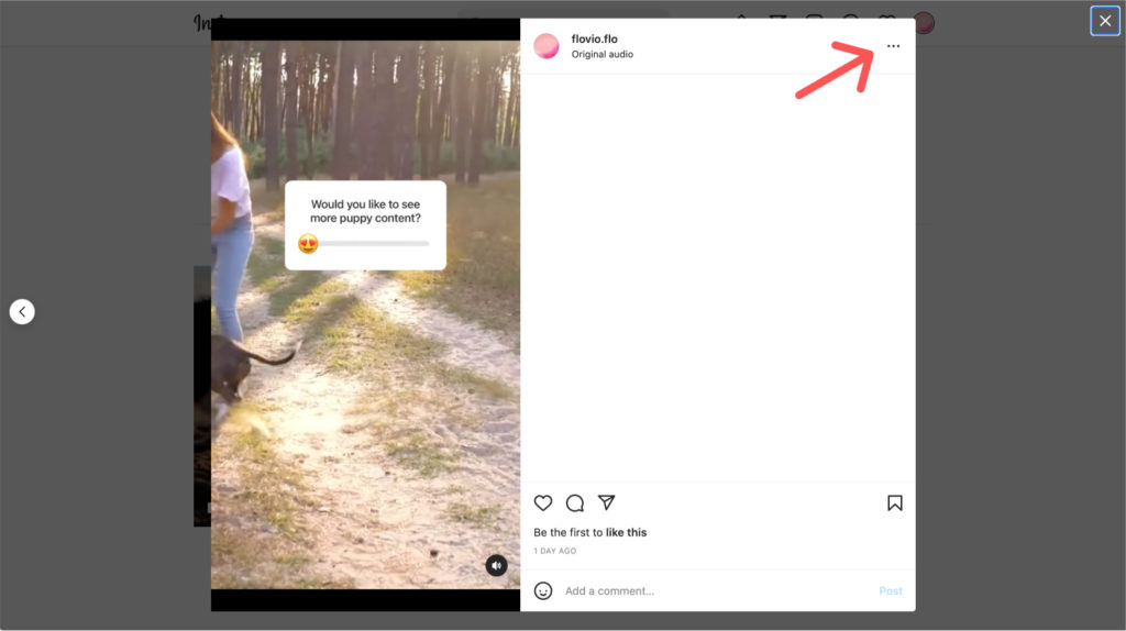 How to Embed Instagram Reels on Your Website [Super Easy Guide] • Spotlight