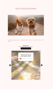 How to Embed Instagram Reels on Your Website [Super Easy Guide] • Spotlight
