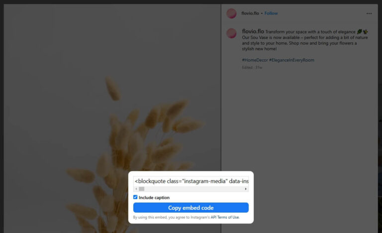 How to Embed Instagram Reels on Your Website [Super Easy Guide] • Spotlight