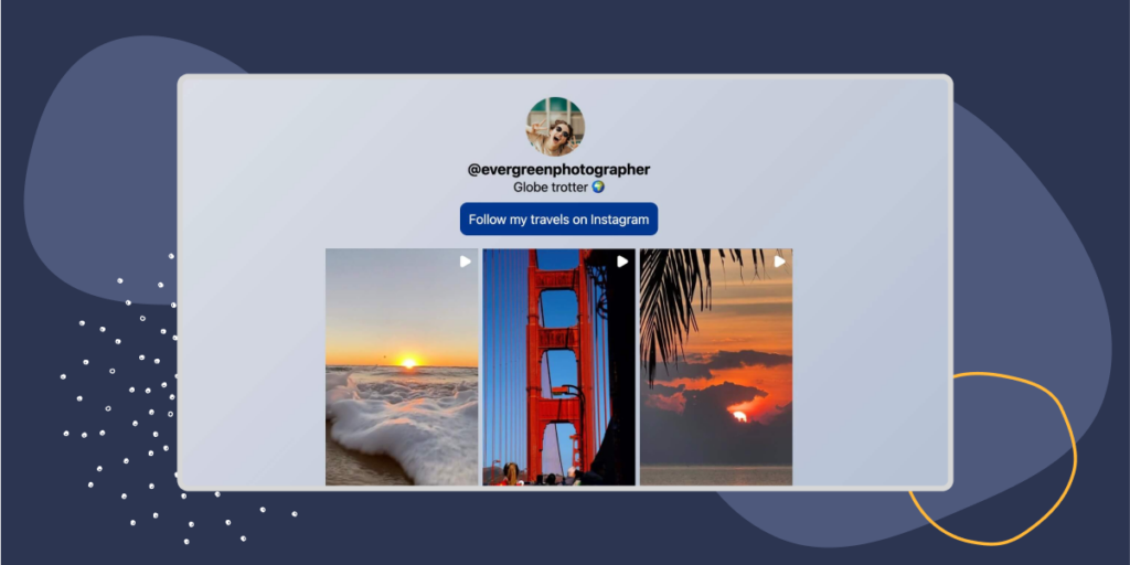How to Easily Embed Instagram Videos on Your Website in Just a Few ...