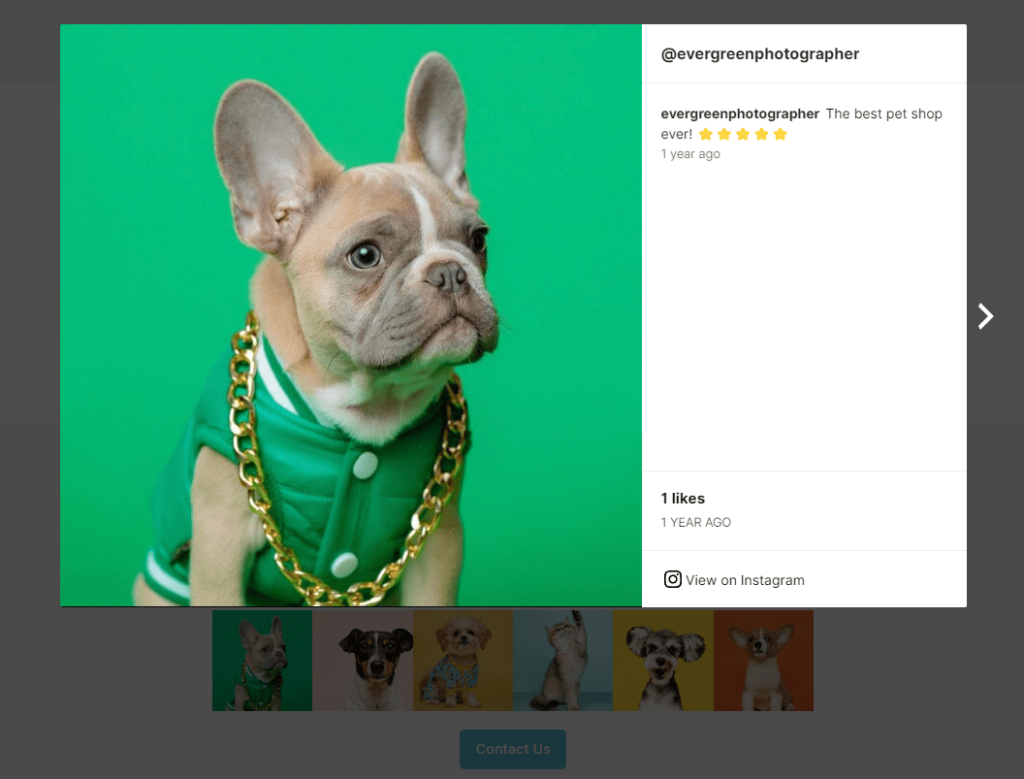 How to Add an Instagram Review Feed to Your Website • Spotlight